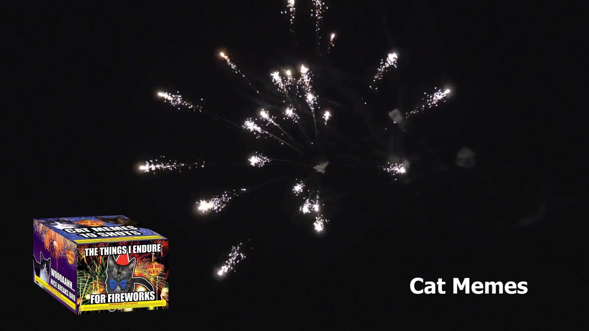 Cat Memes – Bartz Fireworks